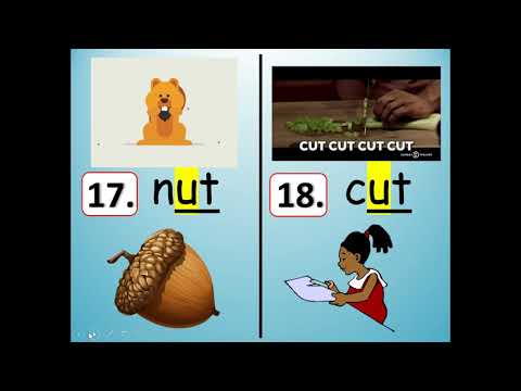 First Grade Journeys' Lesson 10 Practice B Short u & -UMP Spelling & Phonics for A Cupcake Party