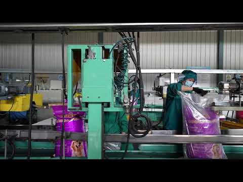 Multi Size Packaging Line