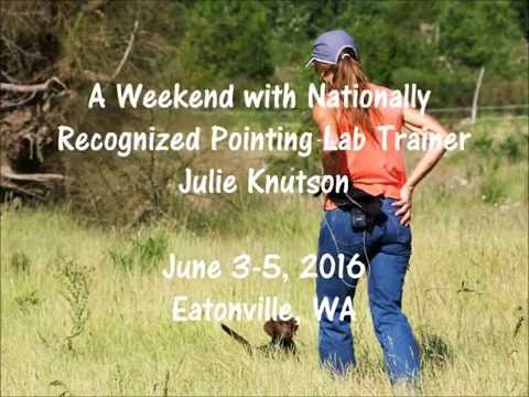 Julie Knutson Seminar Highlight Reel