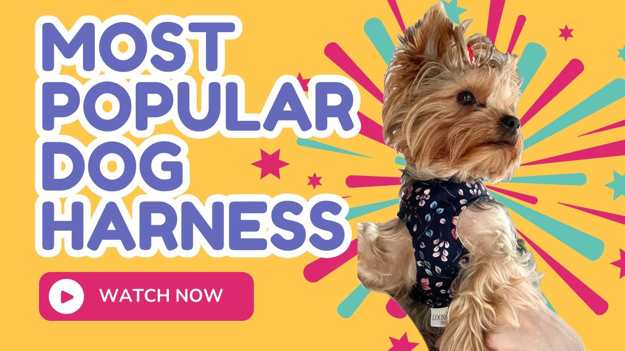 Most popular Dog Harness in my Etsy store