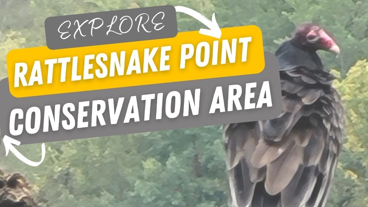 Explore Rattlesnake Point Conservation Area, Milton
