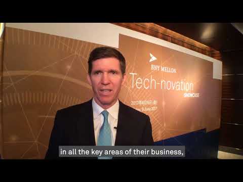 What is the significance of technology and innovation for the insurance segment?