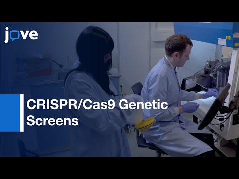 CRISPR/Cas9 Genetic Screens for Cell Surface Receptor Identification | Protocol Preview