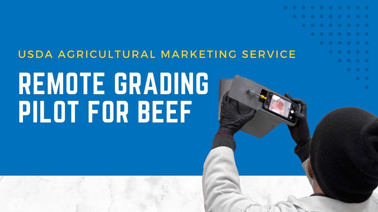 USDA Remote Grading Pilot: Product Preparation, Grading, and Results