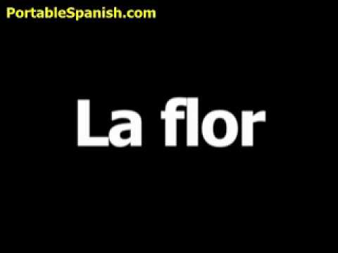 Spanish word for flower is la flor
