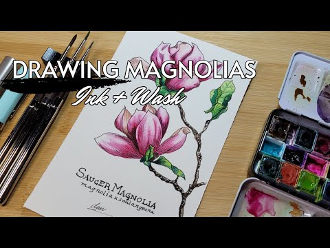 How to Sketch Magnolia Flowers | Ink & Wash | Lettering | Freehand No Pencil!