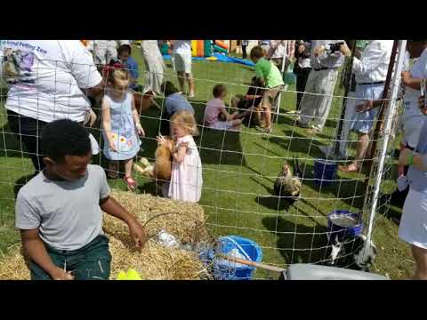 Oba Farms Mobile Petting Zoo - Dallas Texas