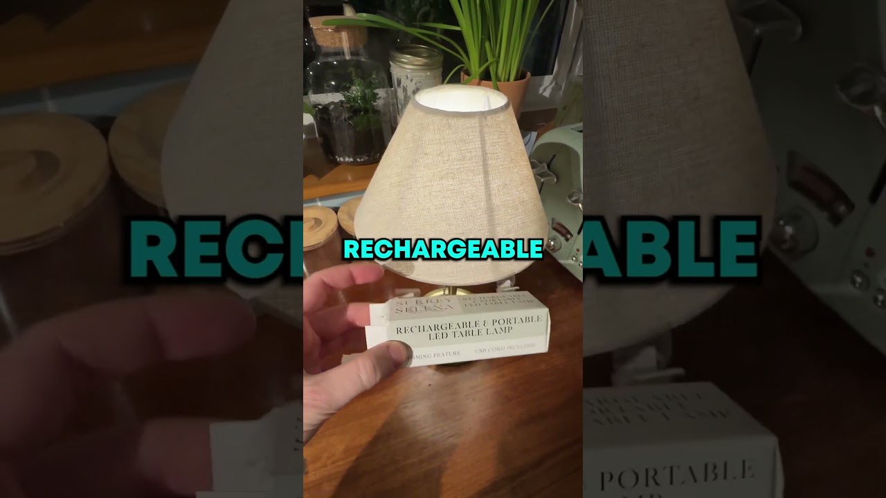 Craziest Lamp Scam💡😲