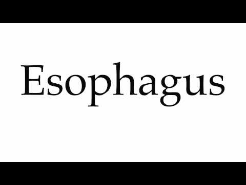 How to Pronounce Esophagus