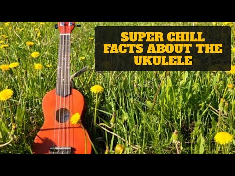 Super Chill Facts About The Ukulele