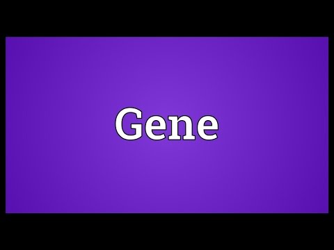 Gene Meaning