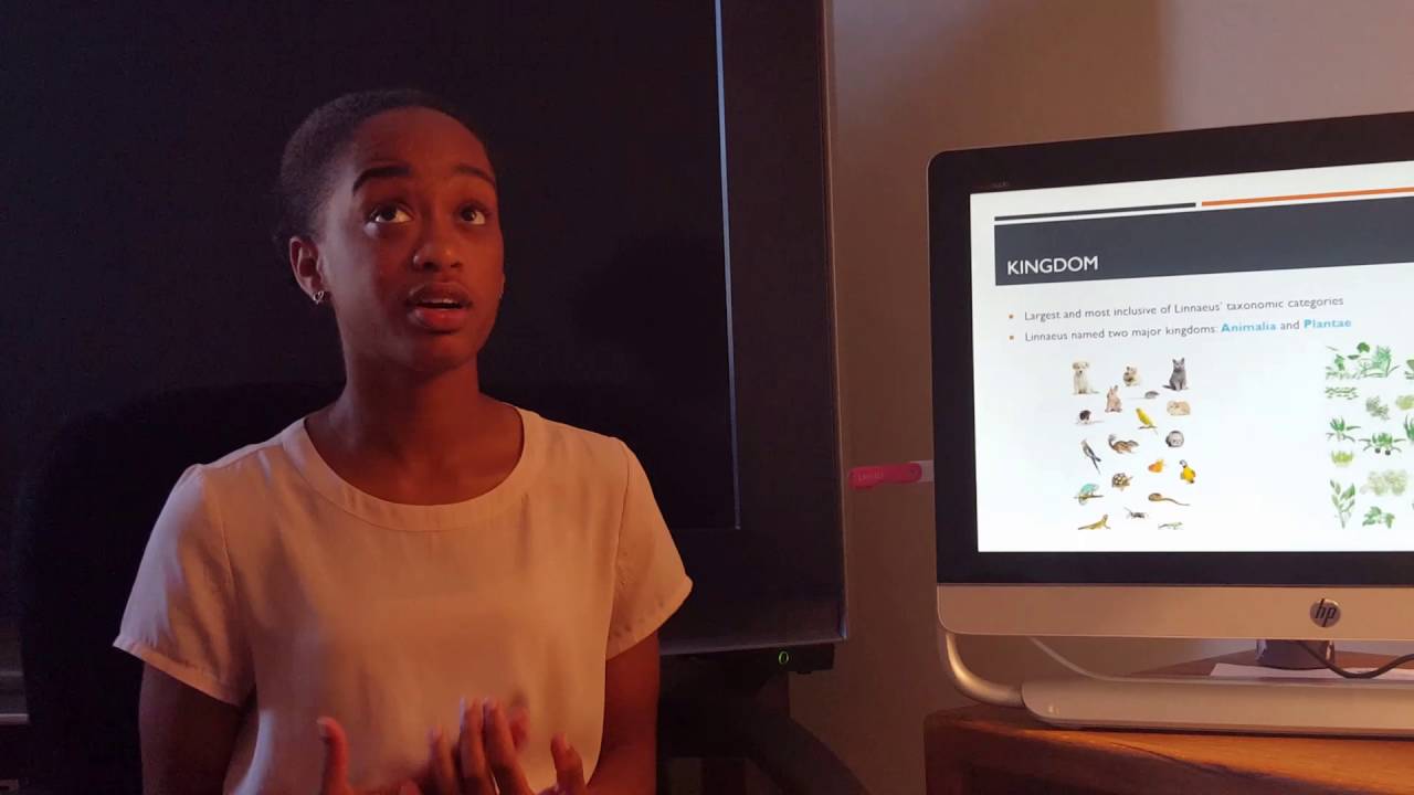 Chapter 18 Classification Review