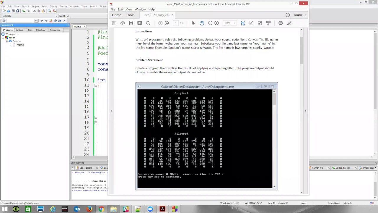 Partial 2D array homework solution