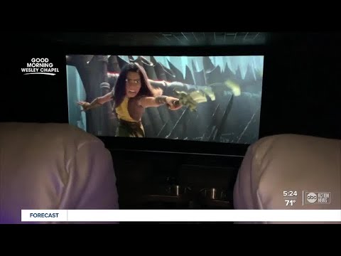 Futuristic movie theater opens in Wesley Chapel