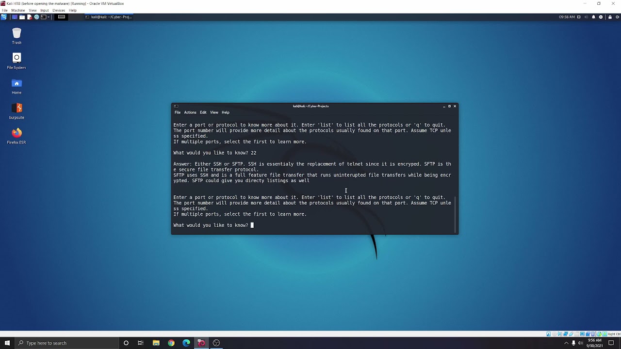 My Python Networking Project