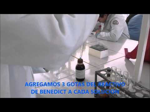 PRUEBA DE BENEDICT