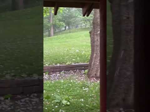 Soft ball size hail storm during a disc golf round