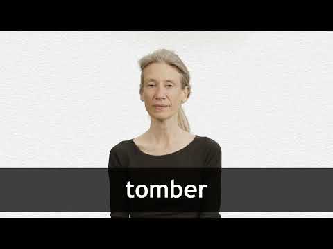 English Translation of “TOMBER” | Collins French-English Dictionary