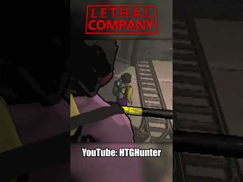 Steam Community :: Video :: It's Hunter #lethalcompanygame # ...