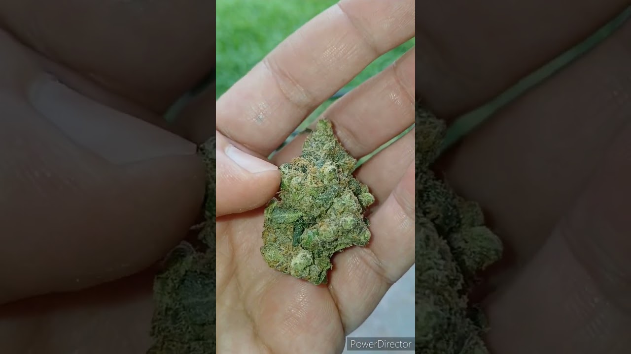 Mendo Breath THCa Flower - Arete Hemp