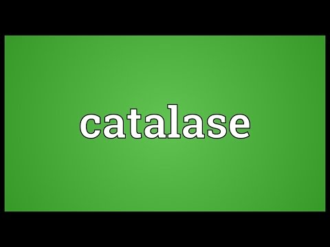 Catalase Meaning