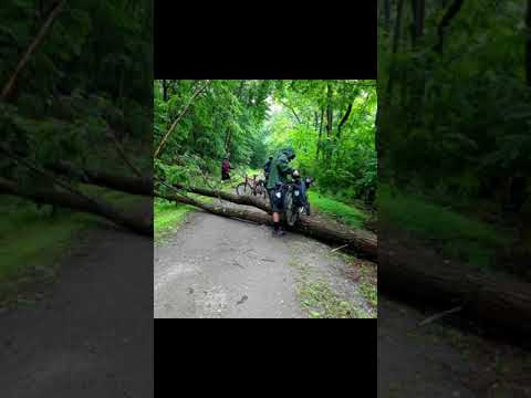 Armstrong Trail from East Brady, PA to Templeton, PA. #surlybikes