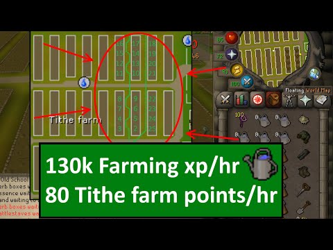 In-Depth Efficient Tithe Farming Guide | 25 seeds: 6 lanes + 1 spot method [OSRS]