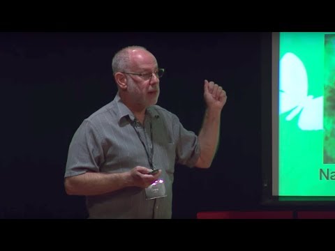 The Beauty of Native Plants | Drew Lathin | TEDxLivoniaCCLibrary