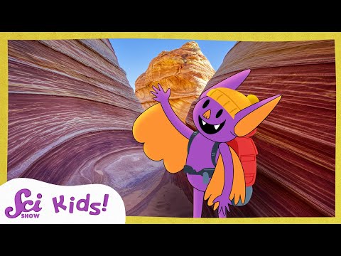 The Many Layers of Sedimentary Rocks | SciShow Kids