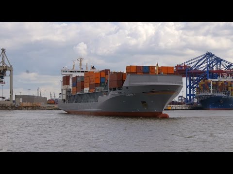 Hamburg, Germany: Waltershof, Harbor, "THETIS D" (168m / 1421 TEU) - 4K UHD Video Image