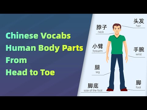 70 Body Parts in Chinese - The Ultimate Guide