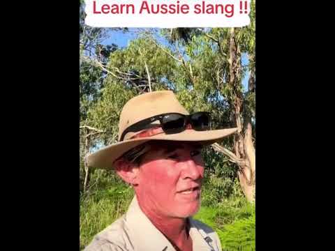 #aussieslang #aussie #fyi #australia #everyone #fyp #language #learning #nice