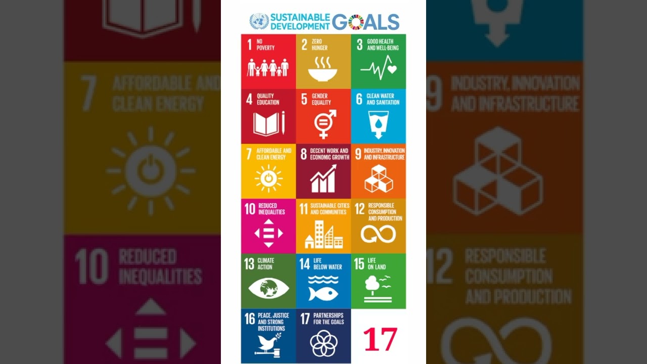 17 sustainable development goal of UN