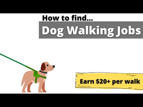 How to Apply for Dog Walking Jobs Now