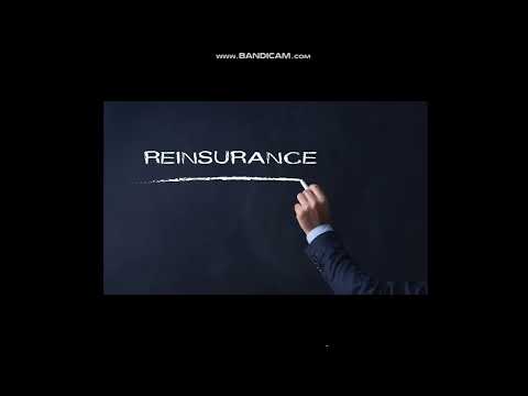 What is reinsurance||How Does Reinsurance works?Explain with Example.