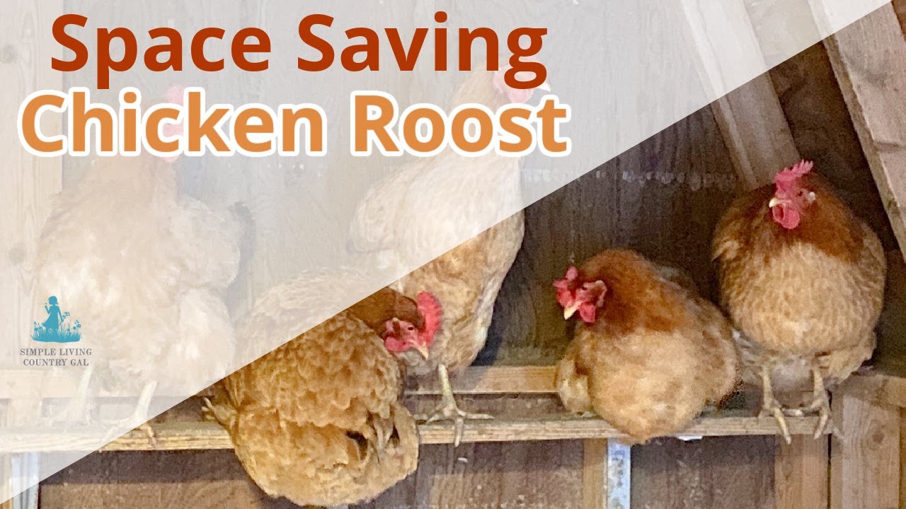Space Saving Chicken Roost