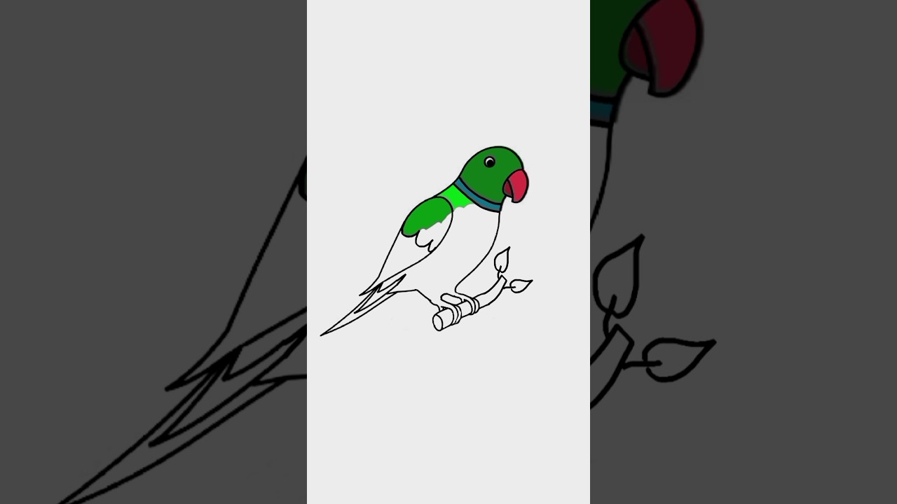 how to colour a parrot 🦜| easy colourful parrot drawing @drawing4455
