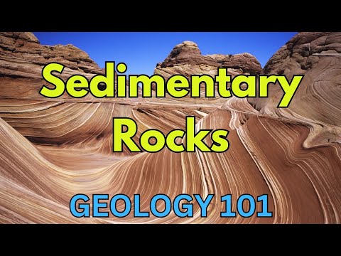 Geology 101 with Willsey, Episode #15: Sedimentary Rocks