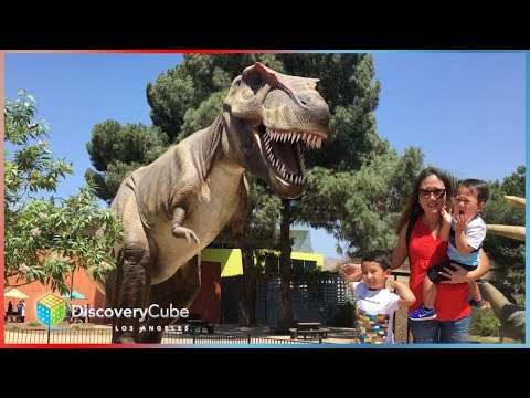 Real looking Dinosaurs | Discovery Cube