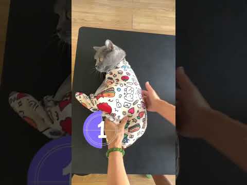 No More Scratch Marks: Easy Cat Nail Clipping with Anti-Escape Tool!