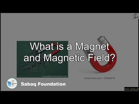 What is a Magnet and Magnetic Field?, General Science Lecture | Sabaq.pk