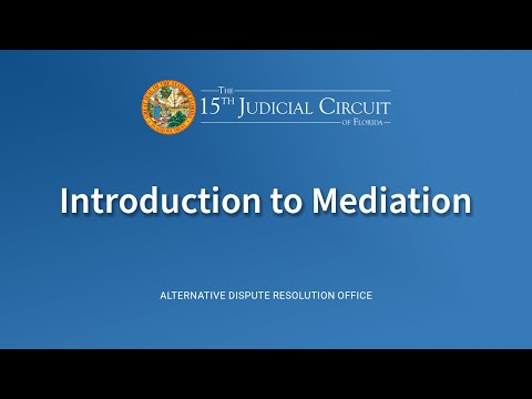 Overview of the 15th Judicial Circuit Mediation Process