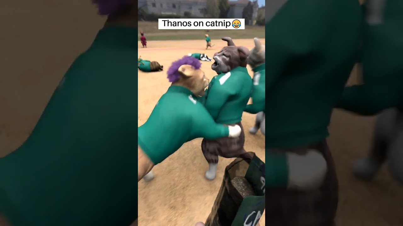 Cat in Squid Game😹