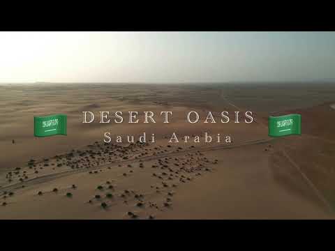 Desert Oasis l Lake Prodan, Saudi Arabia 🇸🇦 l DJI Avata & Mini 3 Pro l 2023