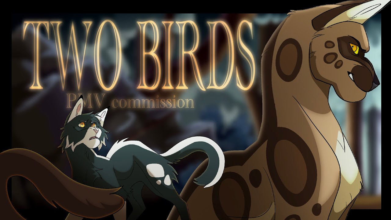 TWO BIRDS|| Warrior Cats OC PMV 