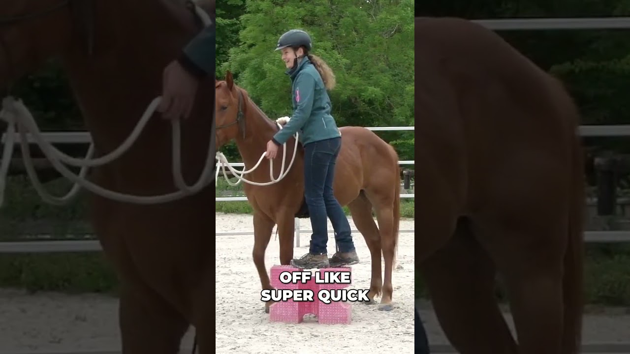 Why I love to use a Bareback pad for first ride #younghorse #firstride #coltstarting #horsetraining