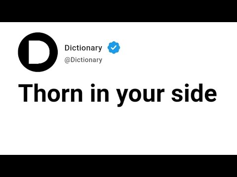 Thorn in your side Meaning In English