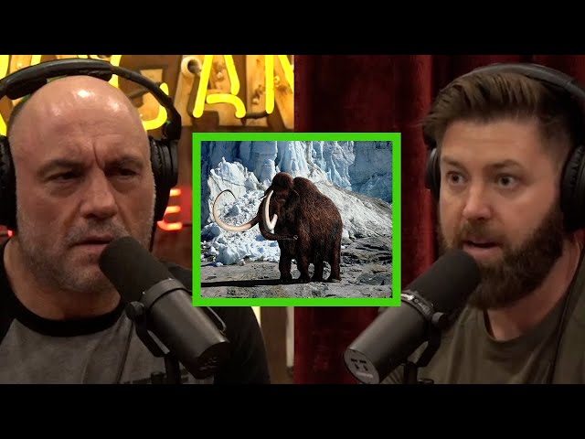 Joe Rogan left in awe by company trying to revive the woolly mammoth ...