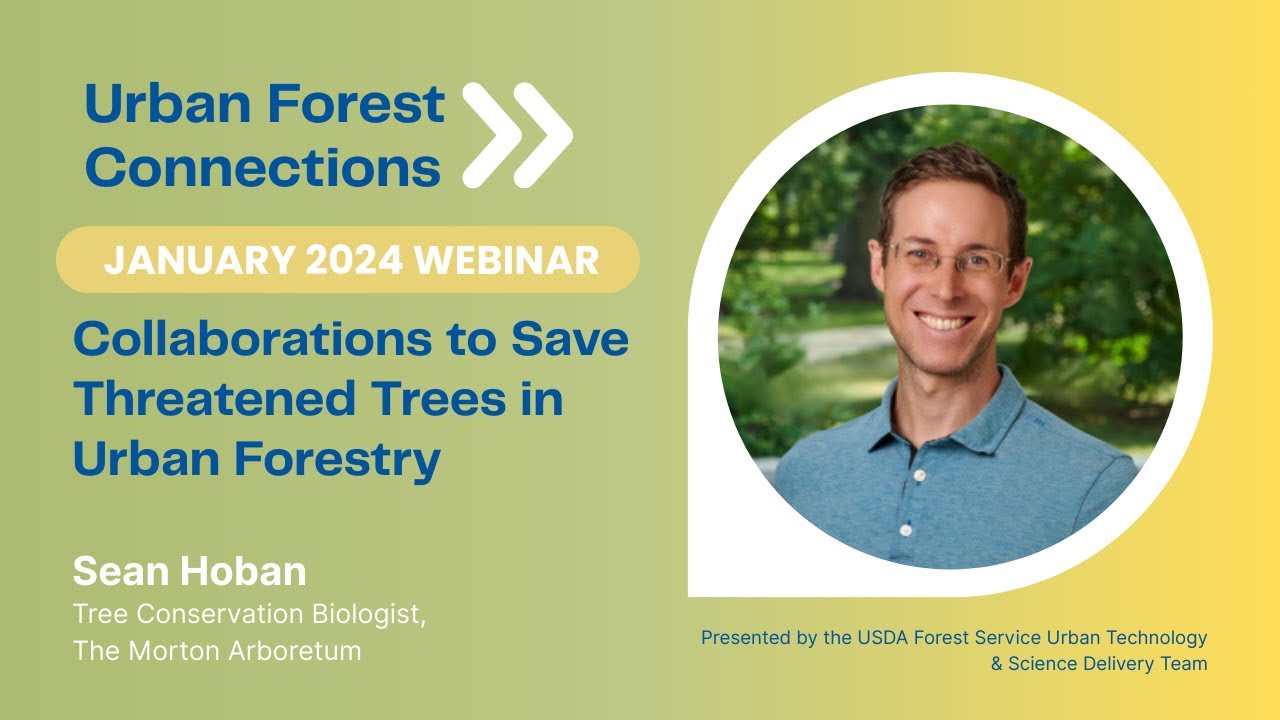 Urban Forest Connections | Threatened Trees in Urban Forestry | Sean Hoban