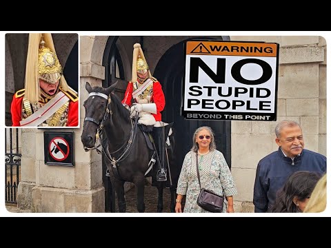 45 Times The Guard Ran Out of PATIENCE and Let Rip at Tourists!